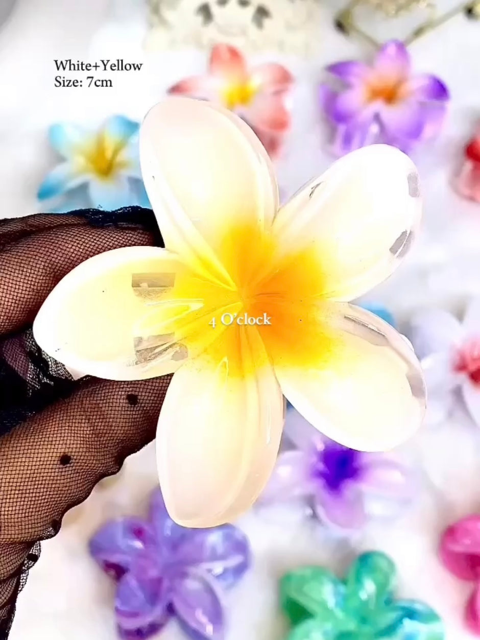 Home Page – 4 O'clock